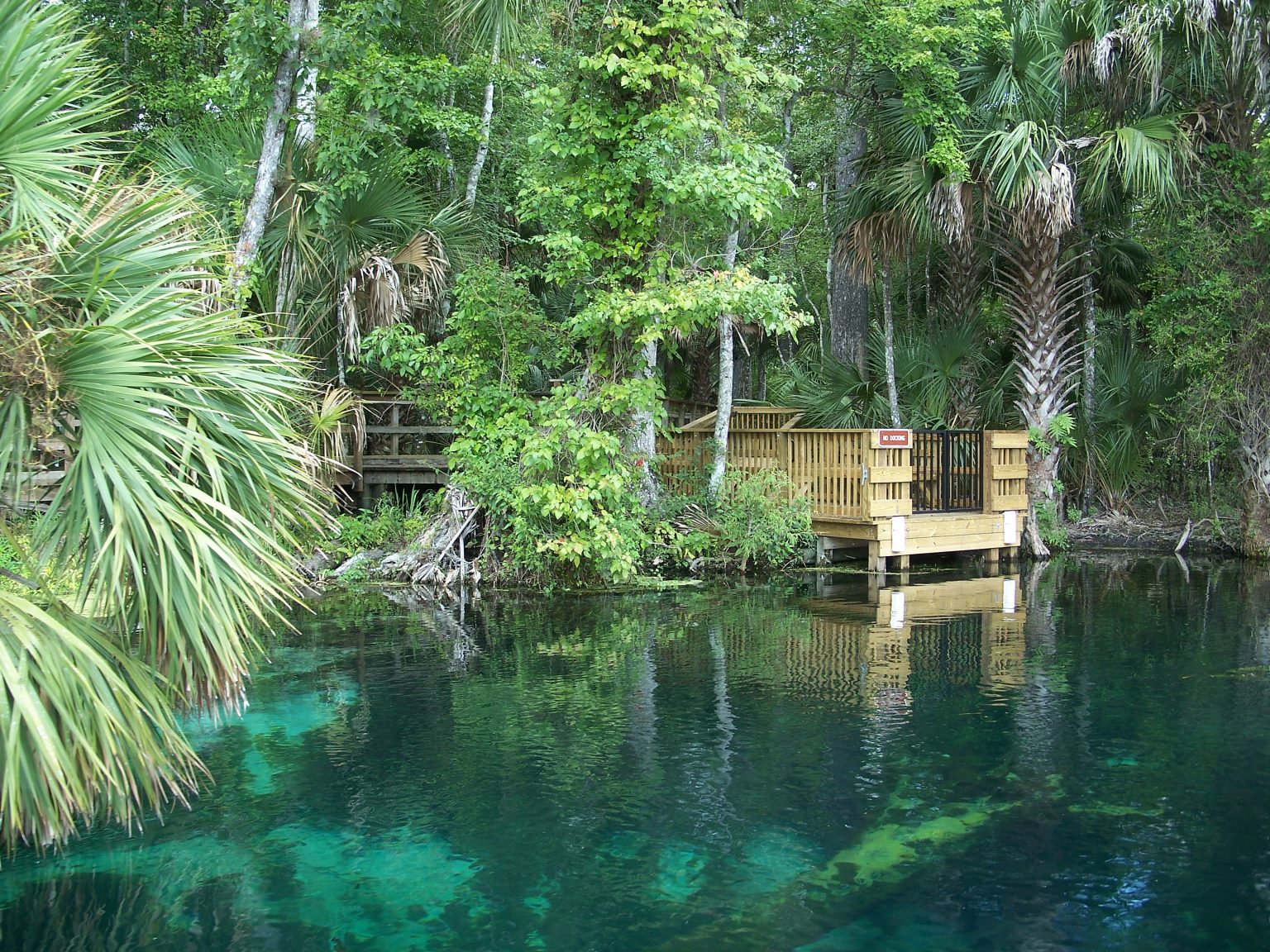 Florida Springs Tiny House Getaways | Tiny Travel Chick